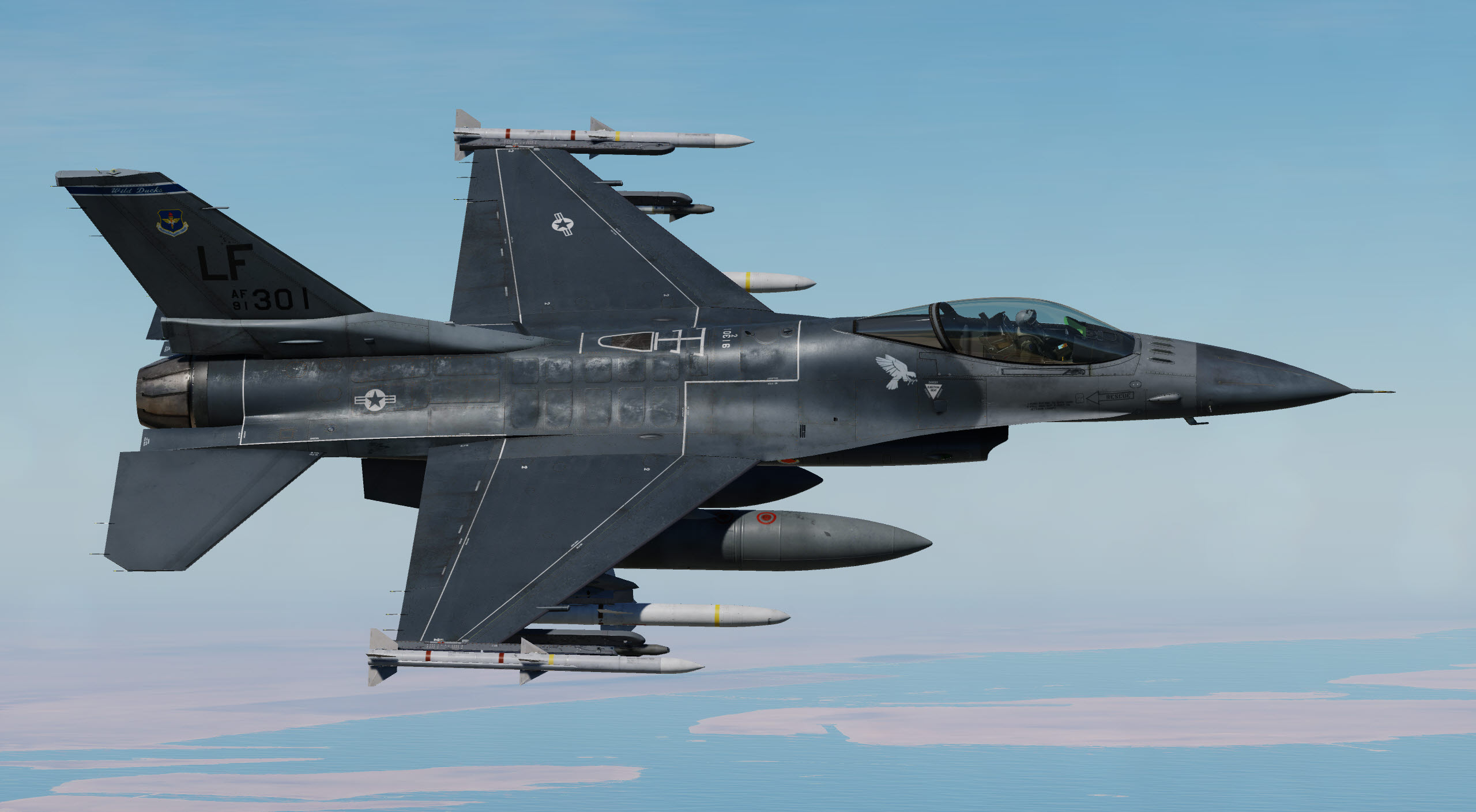 309th Fighter Squadron Luke AFB